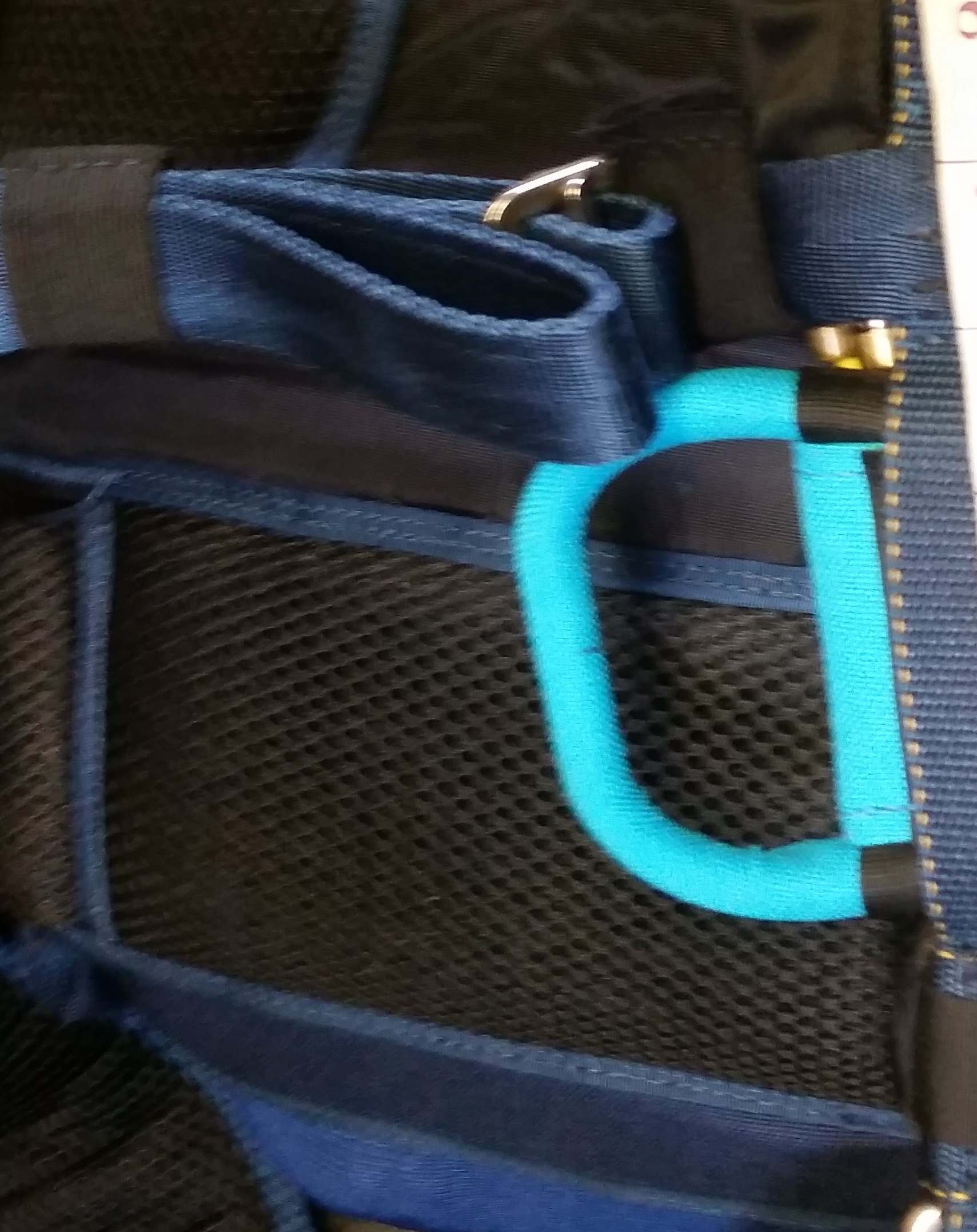 A Guide to Container Features - XDream Skydiving